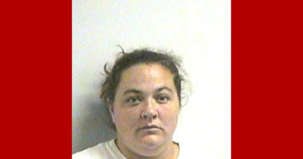 ANNE MARIE CASTILLO - citruscountybusted.com