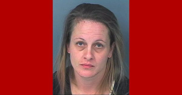 JESSICA ANN MILLER - citruscountybusted.com