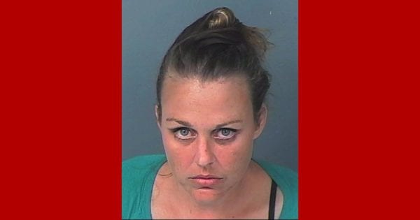 LAURA ELIZABETH FINCH - citruscountybusted.com