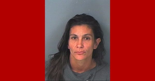 ANGELA CRYSTAL PATLAN - citruscountybusted.com