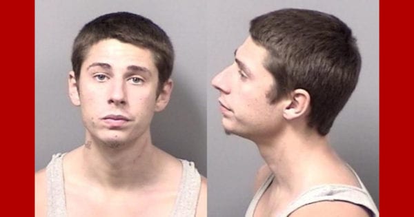 BLAKE BROCKWAY POWELL - citruscountybusted.com