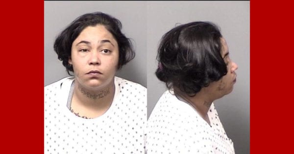 DANIELLE ASHLEY PINTO - citruscountybusted.com