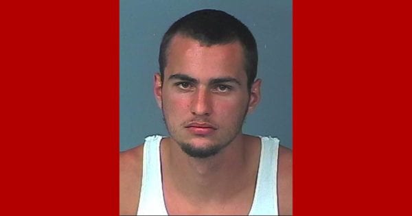 DAVID AUSTIN PFLEGER - citruscountybusted.com