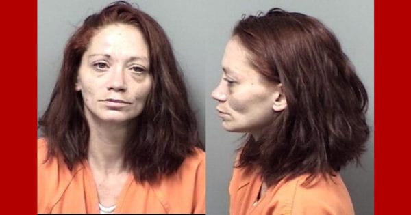 HOLLY ANN SMITH - citruscountybusted.com