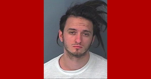 ISAAC TROY LEMONS - citruscountybusted.com