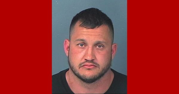 JACOB PAUL POWELL - citruscountybusted.com