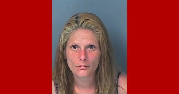 JENNIFER LEE MARTIN - citruscountybusted.com