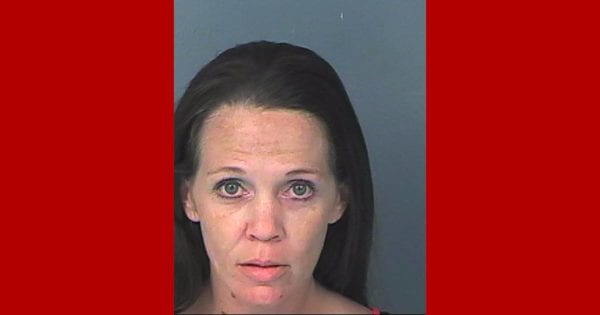 MICHELLE ANN SINGLETARY - citruscountybusted.com