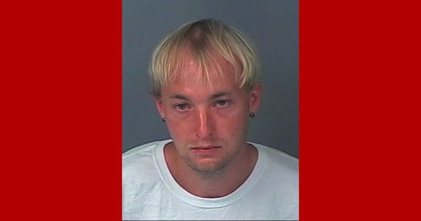 STEPHEN EDWARD NAULT - citruscountybusted.com
