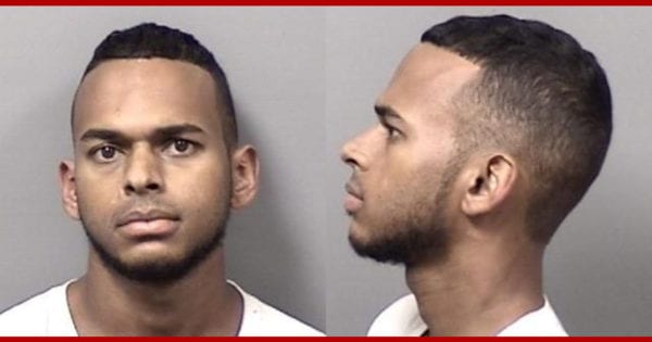 TRE MICHAEL NELSON - citruscountybusted.com