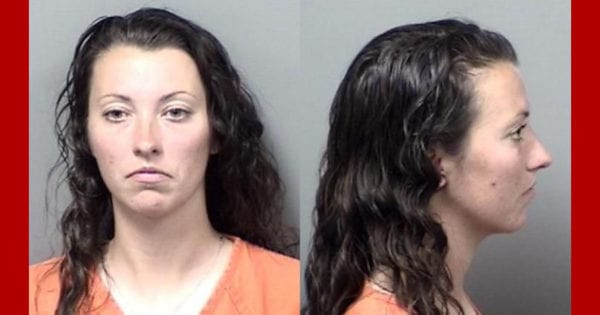 BRANDI NICOLE WEBB - citruscountybusted.com