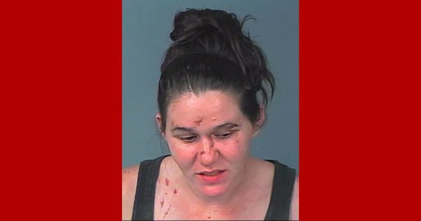 BRYNA LEANNA SMITH - citruscountybusted.com