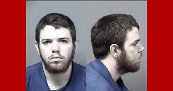 CHRISTIAN ALEXANDER MANZI - citruscountybusted.com