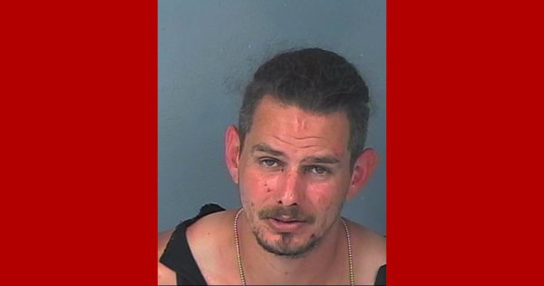 DONALD RAY II ALLEN - citruscountybusted.com