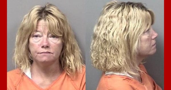 HEATHER LYNN BURROWS - citruscountybusted.com