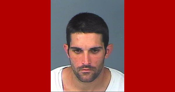 JASON LEE COLLINS - citruscountybusted.com