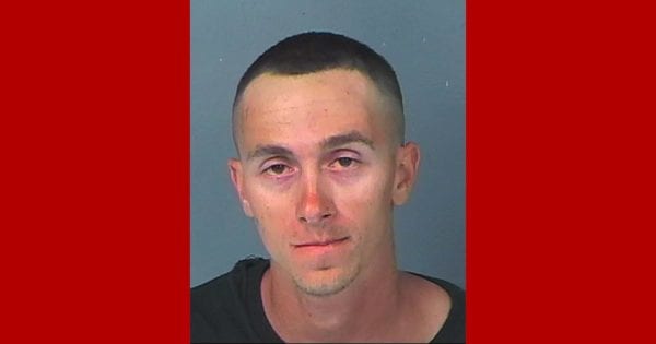 JOHN THOMAS STOUT - citruscountybusted.com