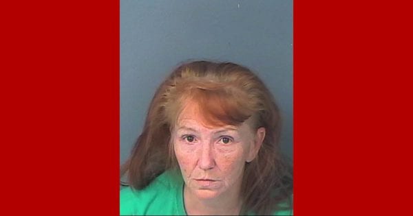 KRISTINE K TRUDEAU - citruscountybusted.com