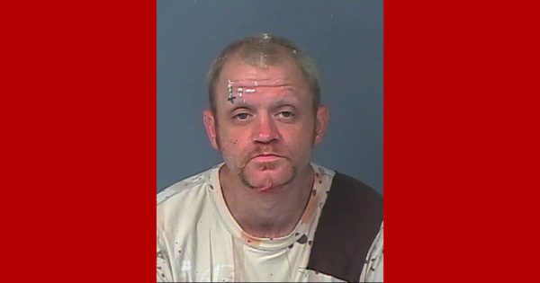 MICHAEL JOSEPH SWEENEY - citruscountybusted.com