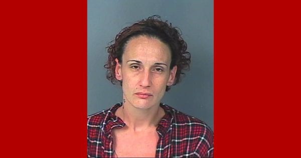 SANDRA DENISE FERRIN - citruscountybusted.com