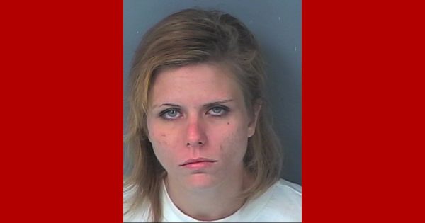 TAMMY CHEYENNE SANDERS - citruscountybusted.com