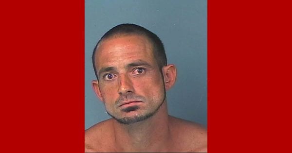 ANDREW THOMAS JR MCCARTY - citruscountybusted.com