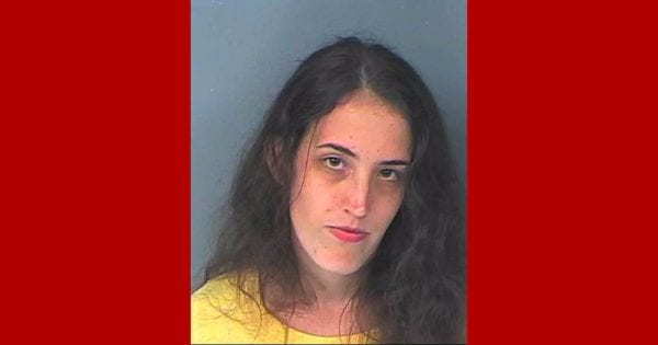 ANGELICA RENEE BRANDON - citruscountybusted.com