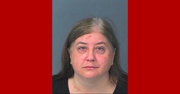 ANNETTE MARIE HOWARD - citruscountybusted.com