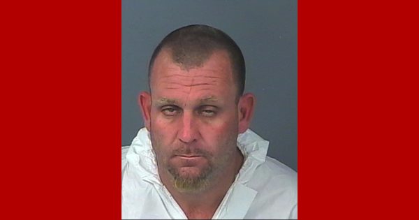 JONATHAN DAVID COBB - citruscountybusted.com