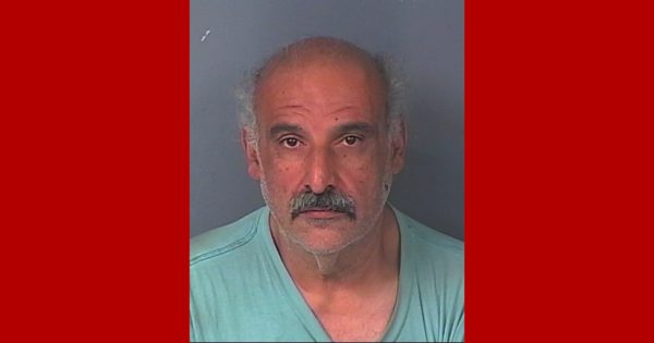JOSEPH PETER DICECCO - citruscountybusted.com