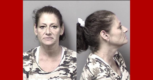 MICHELLE ANN ROUSH - citruscountybusted.com