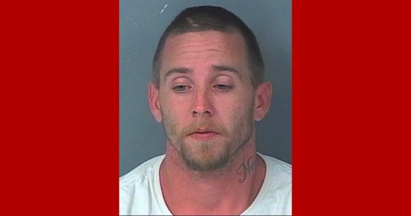 STEPHEN ARTHUR COLWELL - citruscountybusted.com