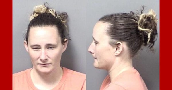 DANIELLE RENEE COOMES - citruscountybusted.com