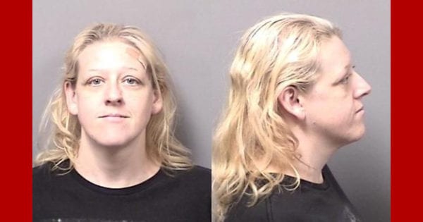 ELIZABETH HART - citruscountybusted.com