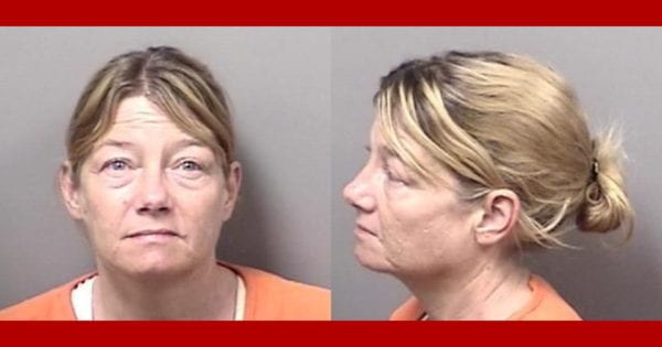 HEATHER LYNN BURROWS - citruscountybusted.com