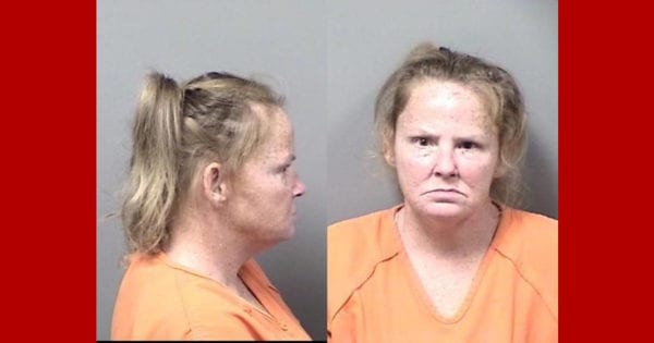 LYNN LOUISE SIMPSON - citruscountybusted.com
