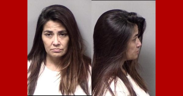 MICHELLE JOANN FIELDS - citruscountybusted.com