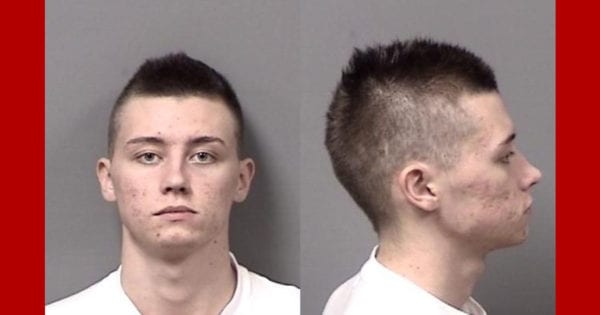 PATRICK MICHAEL RYAN - citruscountybusted.com