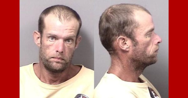 TERRENCE LANG MARTIN - citruscountybusted.com