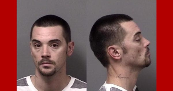TIMOTHY DWAYNE RAINES - citruscountybusted.com