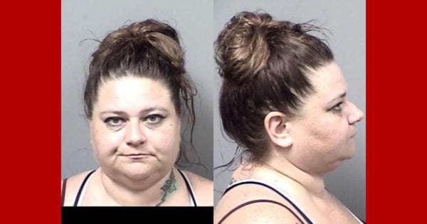 BEVERLY ANN MASSEY - citruscountybusted.com