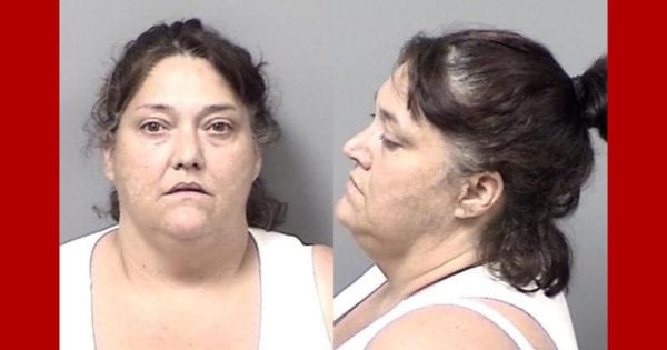 TIFFANY WHITE - citruscountybusted.com