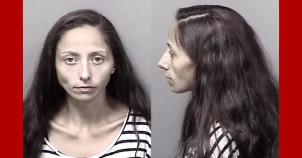 CORI RENE RICE - citruscountybusted.com