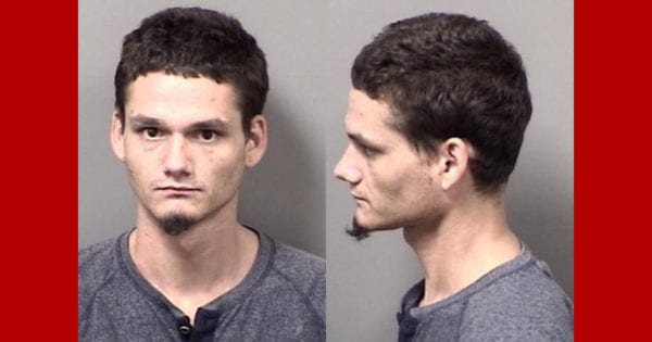 TYLER MICHAEL DAMPIER - citruscountybusted.com