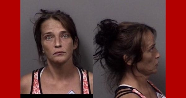 JENNIFER ELLEN WIKER - citruscountybusted.com