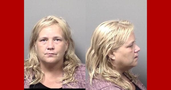 ANGELINE LYNETTE BARNES - citruscountybusted.com