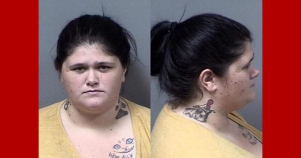 CRYSTAL MARIE RITCHIE - citruscountybusted.com