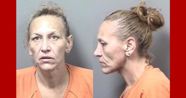 DAWN MARIE PACHECO - citruscountybusted.com