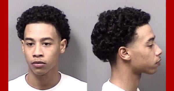 JAMES RICARDO AUSTIN - citruscountybusted.com