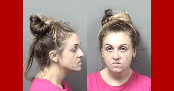 AMANDA MARIE PETERSON - citruscountybusted.com